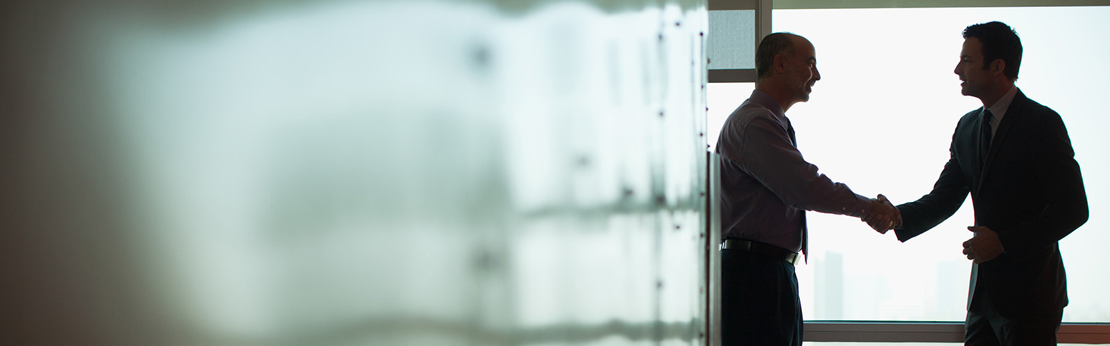 TriZetto Healthcare Trading Partner Management | Cognizant