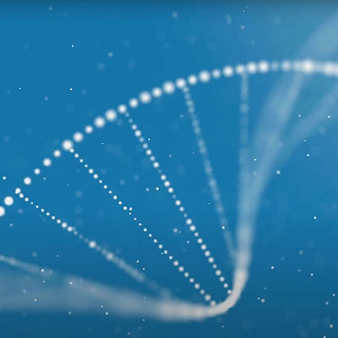 Pharma & Biotech Digital Solutions | Cognizant