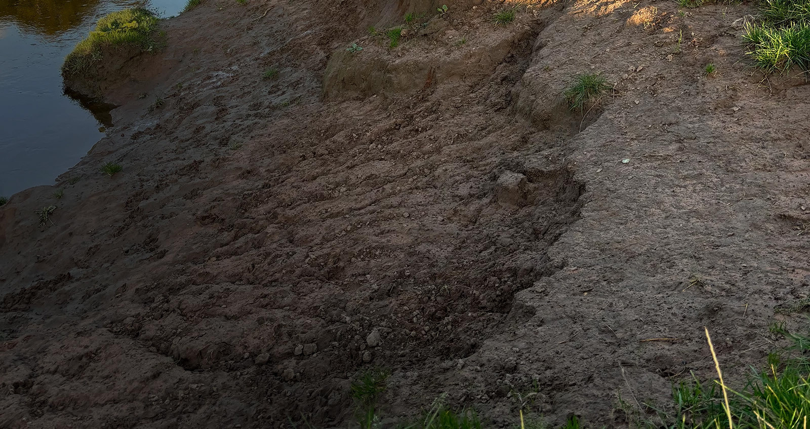 Leveraging machine learning and remote sensing to detect soil degradation