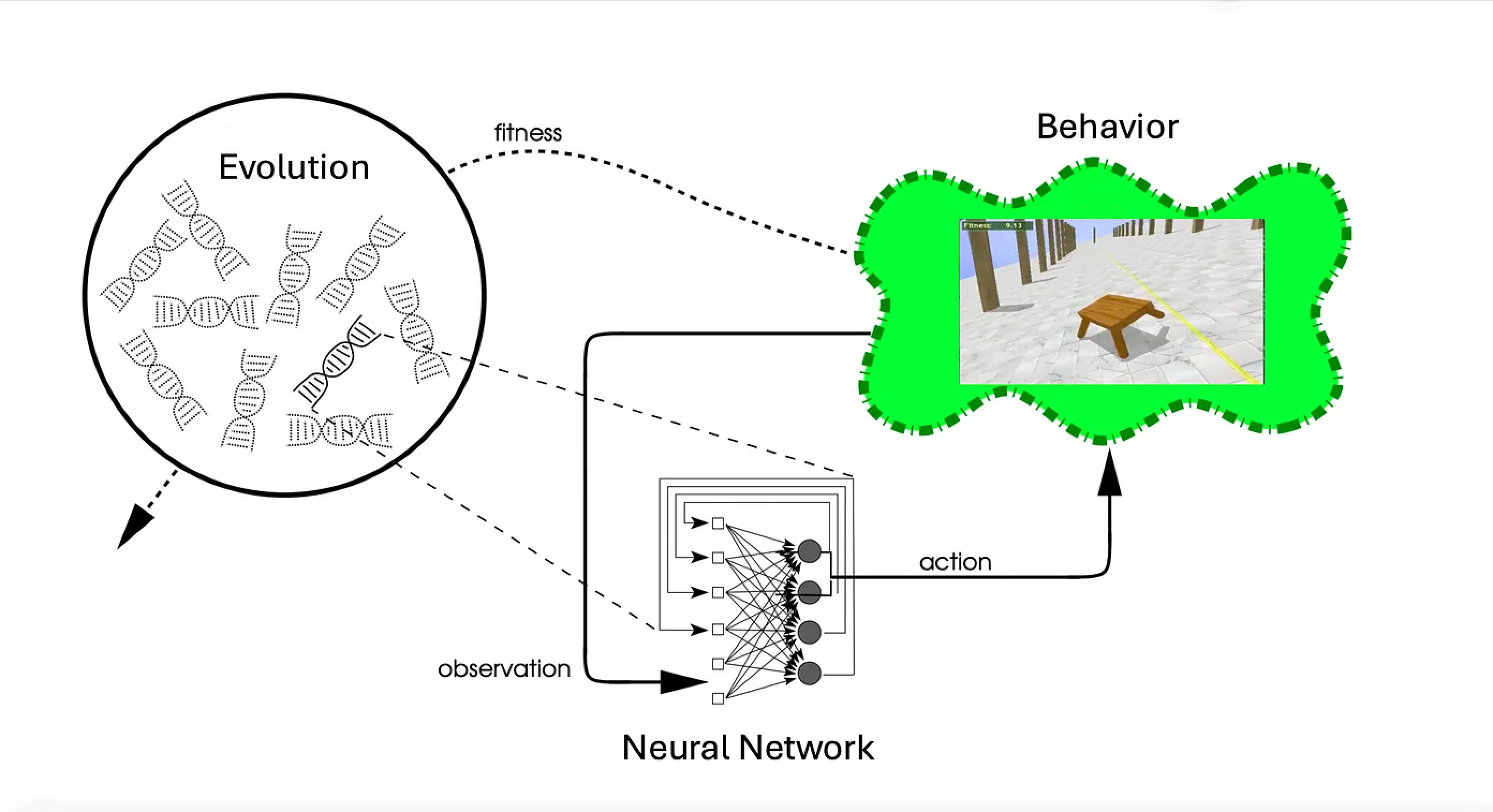 How Neuroevolution Reveals the Origins of Neural Circuit Design